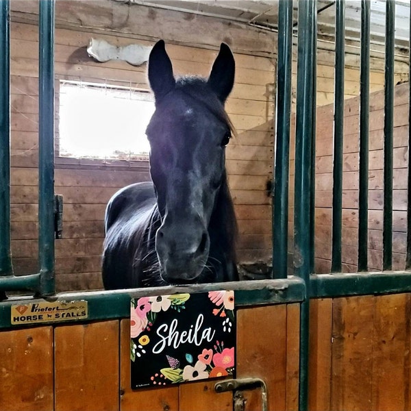 Custom Horse Stall Sign 11x14" With Feeding Instructions on Dry Erase ...