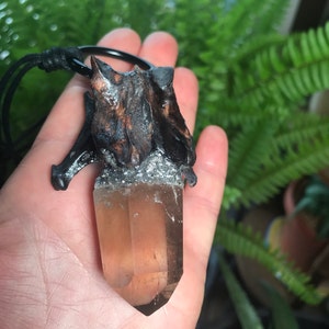 Animal Skull, Goth, Real Skull, Skull Jewelry, Oddities, Animal Bones ...