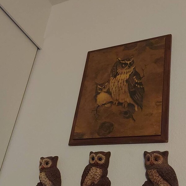 Vintage Mens Green Weathercaster Trucker Down Vest Puffer Large, XL - Etsy