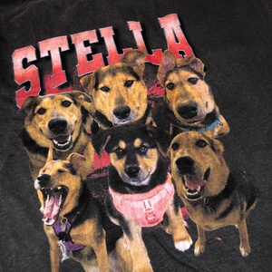 Bachelor Party Shirts Wolf Pack the Hangover T-shirt Guy - Etsy