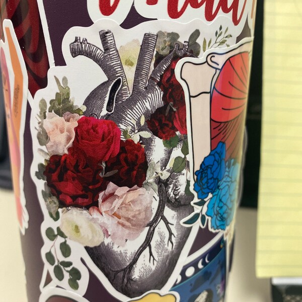 Anatomical Floral Human Heart Sticker,cardiology,vinyl Stickers,science ...