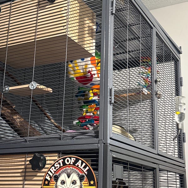 Hamster Hideout. Hamster House. Personalized Haven for Small Rodents ...