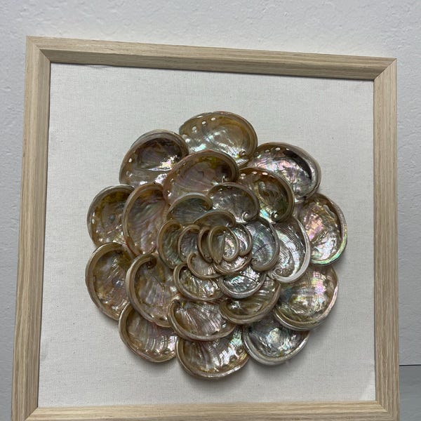 Red Abalone Art, Shell Wall Art, 3D Shell Art, Coastal Shell Art ...