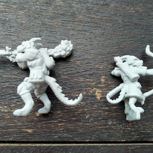 Rabbitfolk Harengon Fighter Paladin Cleric Tabletop - Etsy