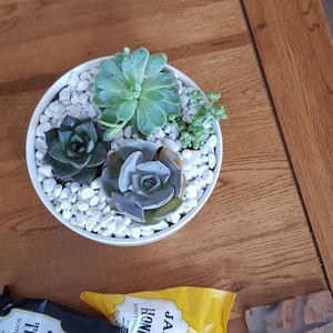 In Loving Memory Rose Say Goodbye to Someone Special With a Unique ...