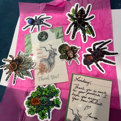 LIMITED EDITION Holiday Jumping Spider 11x14 Fine Art Print by Laura ...