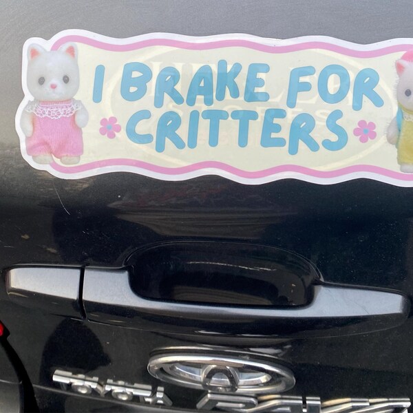 I Brake For... Bumper Sticker Cute Bumper Sticker, Coquette Bumper ...