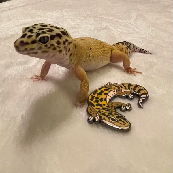 Leopard Gecko Hard Enamel Pin | Leopard Gecko Pin | Gecko Pin | Lizard ...