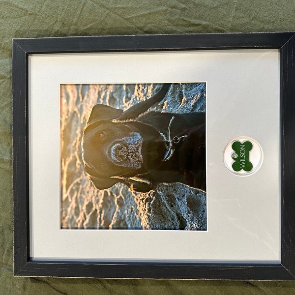 Coin Frame | DIY Frame Kit for Coins | Coin Display | Coin Holder ...