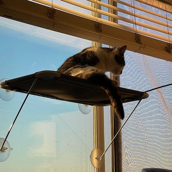 Custom Flat Cats Window Screens - Mesh Window Protection for Cats - Etsy