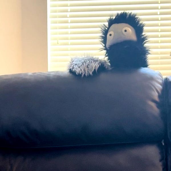 Live Hands Sack Puppet - Bunty - Etsy