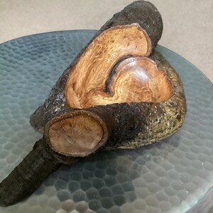 Small Box Made From a Beaver-chewed Log - Etsy