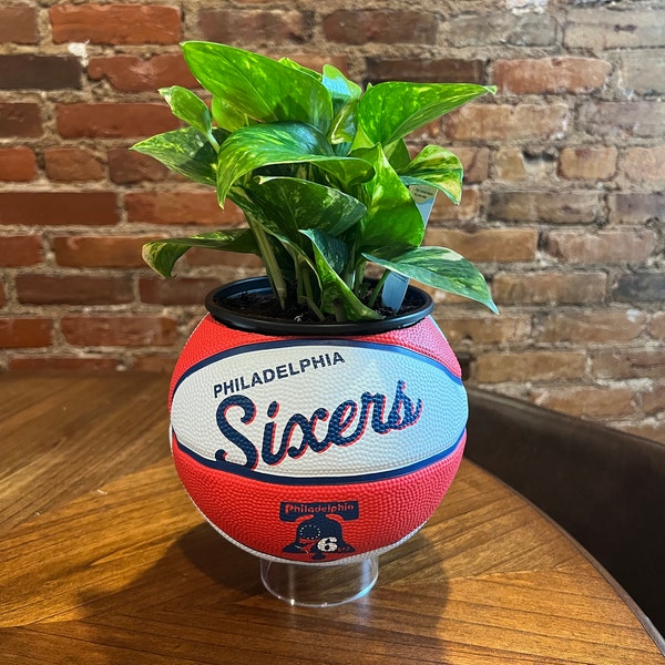 Mini Pink Basketball Planter | Hypebeast Decor | Sports Gift | Nike ...