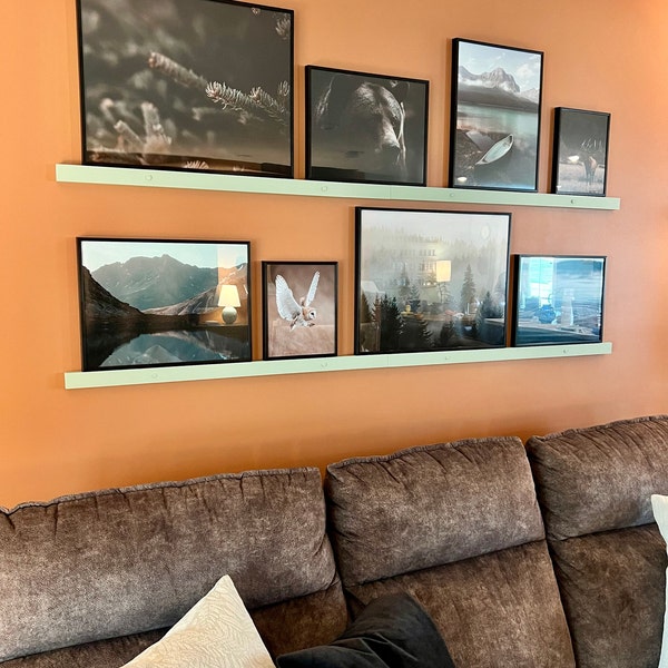 Tree Bark Poster, Ponderosa Pine Tree, Arizona Pine Forest, Pine Tree ...