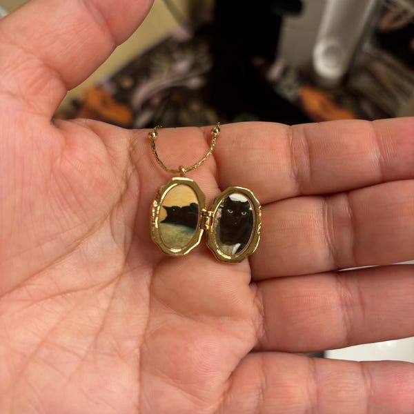 Personalized Oval Photo Locket Necklace, Vintage Locket Necklace, Moon ...