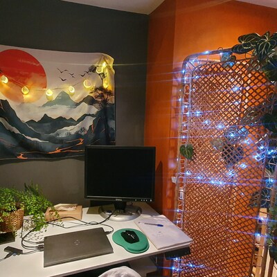 Psychedelic Tapestry, Sexy Nude Women Tapestry ,aesthetic Wall Hanging ...