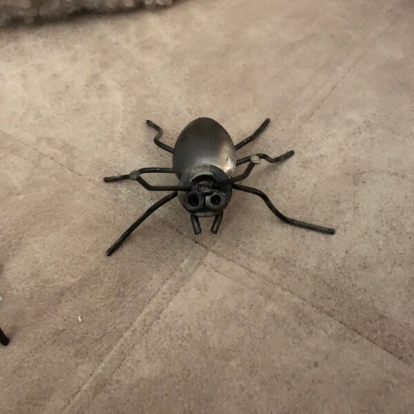Spoon Beetle - Etsy
