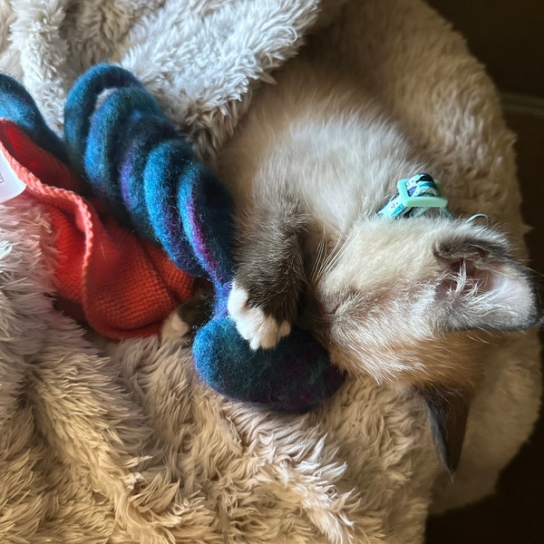 Felt Fairy Finger Puppets, Colourful Rainbow Gnomes and Fairy, Gifts ...