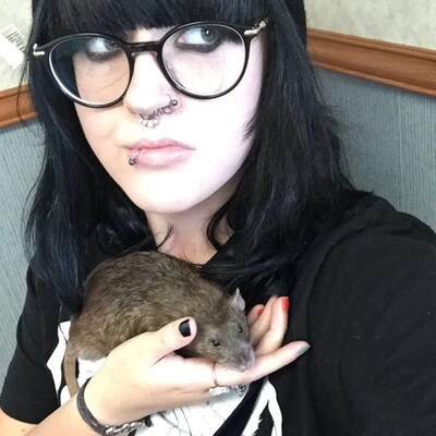 Cute Rat T-shirt, Pastel Goth Clothing, Soft Grunge, Nu Goth, Pastel ...