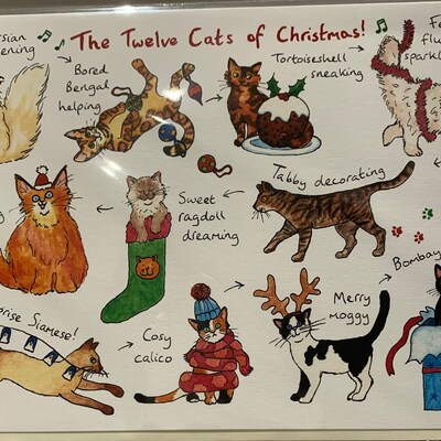 The Twelve Cats of Christmas... A Christmas Card for Cat Lovers - Etsy