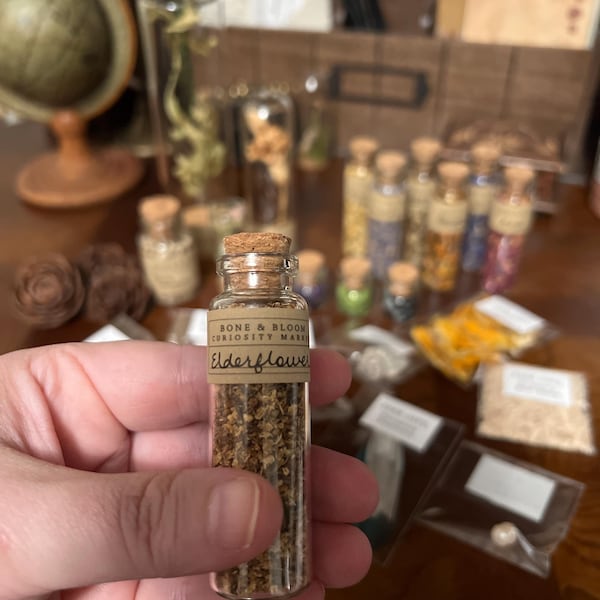 Petite Rosebuds in Glass Vial, Dried Flowers, Natural History, Floral ...
