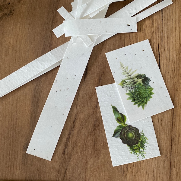 Seed Paper Plantable CHRISTMAS CRACKERS Wholesale Eco-friendly ...