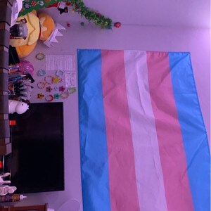 Double Flag: philly More Color More Trans Pride Flag Lapel | Etsy