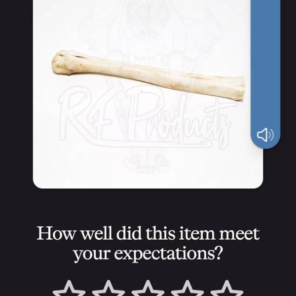 Whitetail Deer Cannon (leg) Bone - Etsy