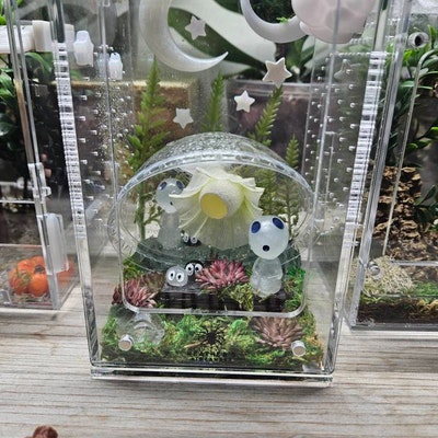 JC Decorated Hexagon Enclosures - Etsy