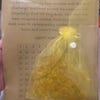 100 Duck Challenge Kit, Hide-a-duck Kit, Miniature Duck Scavenger Hunt ...