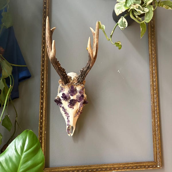 Amethyst Crystal Roe Deer Skull: Wicca Witch Altar Decor - Etsy