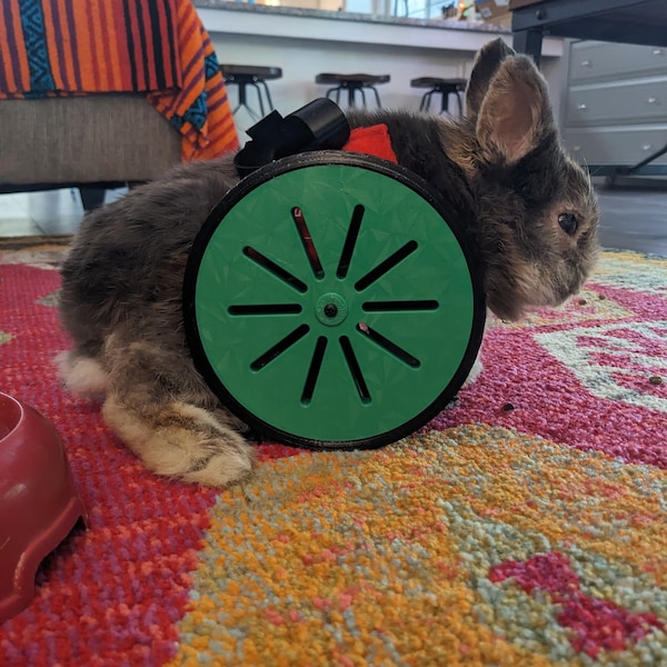 Guinea Pig Wheelchair. the Original Gprover. - Etsy