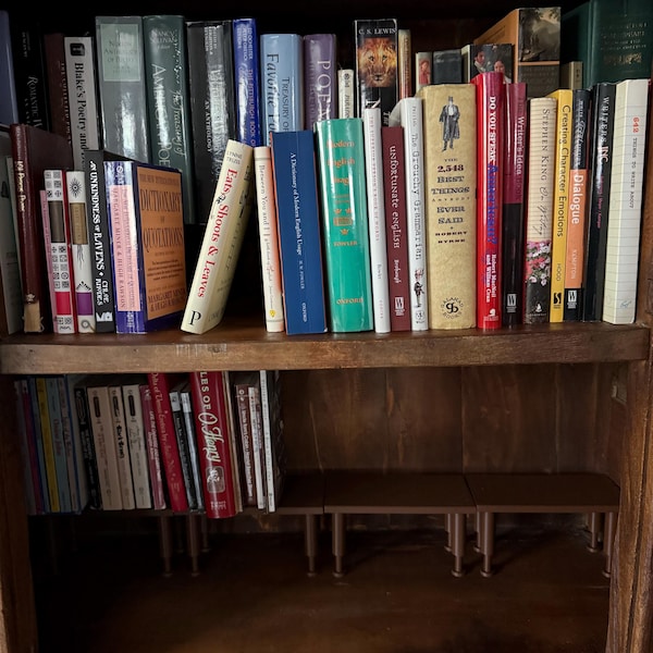 Shelf Riser for Displaying Two Rows of Books on a Single Shelf ...