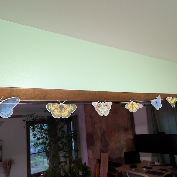Colorful Moth Illustrated Garland - Etsy