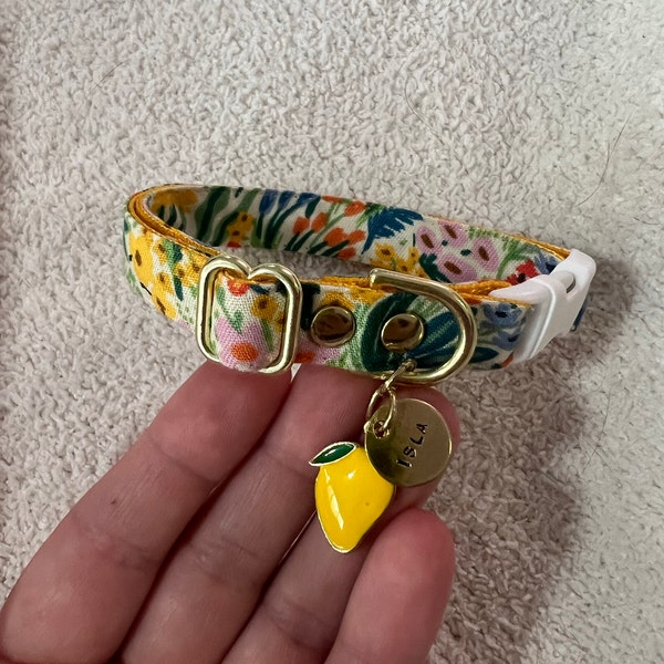 Collar Charms - Food Charms - Snacks - Extra Charms for Cat Collars ...