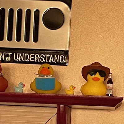 Pop, Soda, Duck, Cruising Duck, Cute Gift, Coca Cola Miniature, Custom ...