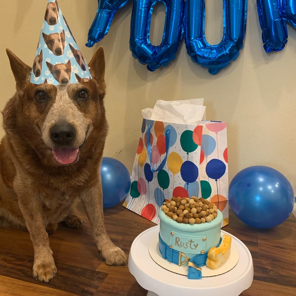 Custom Face Party Hat - Photo Party Hat - Personalized With Your Photo ...