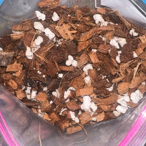 Akadama Substrate for Aroids, Terrariums, Bonsai, Cuttings 16oz - Etsy