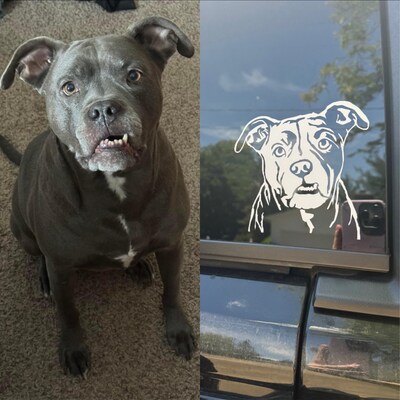 Pet Welcome Sign/ Pet Door Sign/ Dog Door Sign/pet Portrait Wreath/ Dog ...