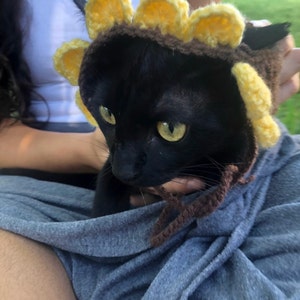 Crown for Cat, Pet Costume, Cat Crown, King Crown, Pet Costume Cat, Cat ...