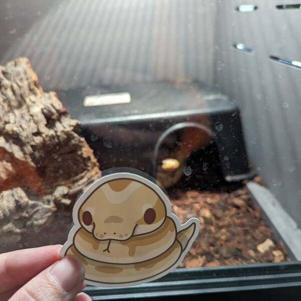 Ball Python Stickers, Cute Snake Stickers - Etsy