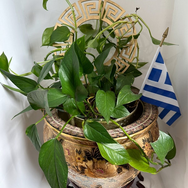 Half Moon Hanging Wall Plant Trellis - Etsy