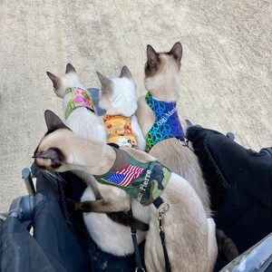 Safetykatz Walking Jacket Red Custom Made Cat Reversible | Etsy