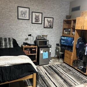 Hummingbird Floral Border Clip Art, Printable Bird and Flower ...