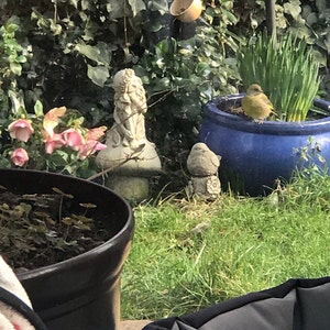Studious Monkey Ape Stone Garden Statue Outdoor Animal - Etsy