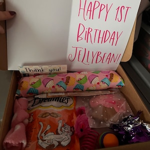 Personalised Cat Birthday Gift Box, Gotcha Day Presents, Pet ...