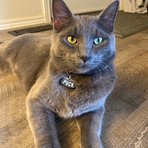 Custom Pet Tag for Dogs and Cats Personalized Weiner Hot Dog Tag Pet ID ...