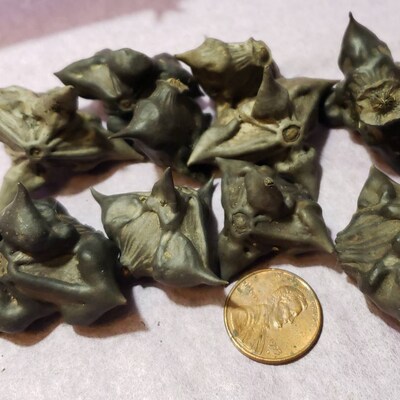 Water Caltrops, Bat Nuts, Cow Heads, Devil Head, Horn Nut, Spike Nut ...