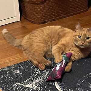 Bard Cat Printable Art Digital Download JPG Download Art - Etsy