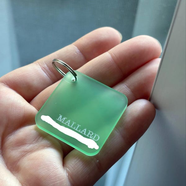 Frosted Dog Tag, Personalized Dog Tag, Dog Id Tag, Cat Name Tag, Pet ...